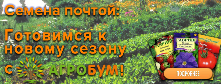 Интернет магазин семян и товаров для садоводства в Москве