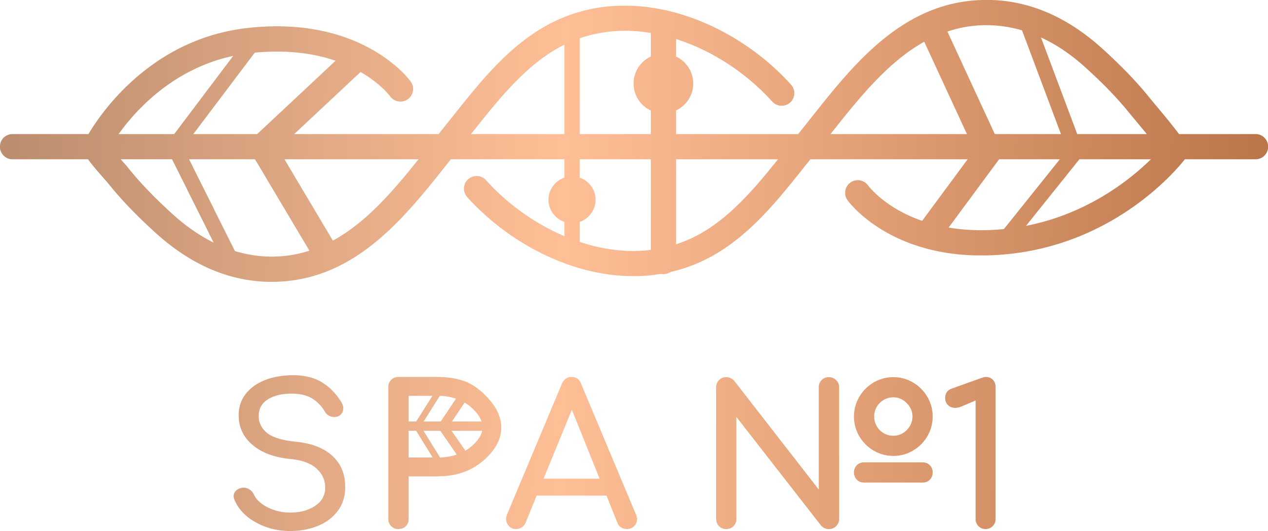 SPA 1 SPA 1
