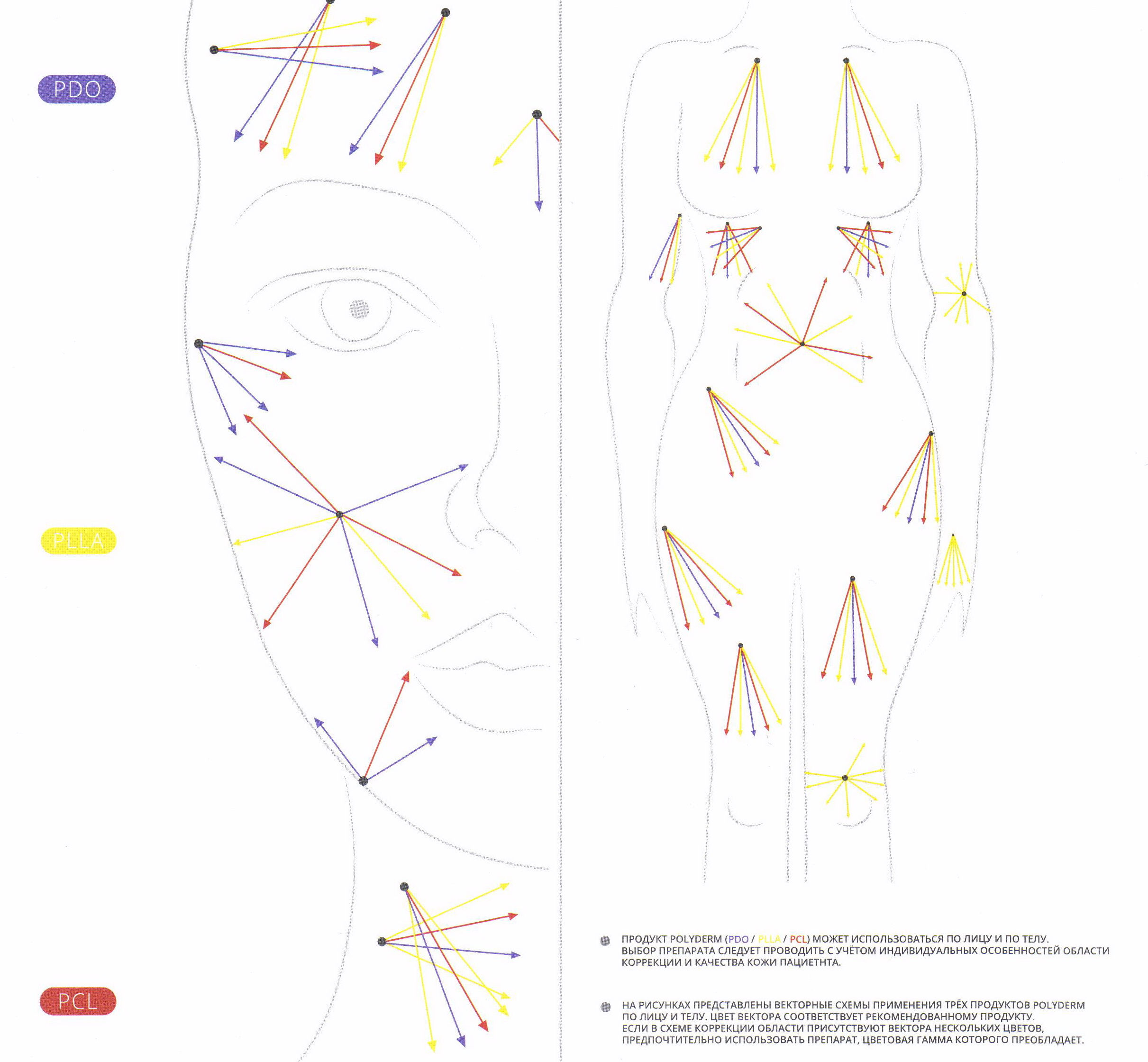 PolyDerm D | Жидкие нити с полидиоксаноном PDO | Купить в Москве с ...