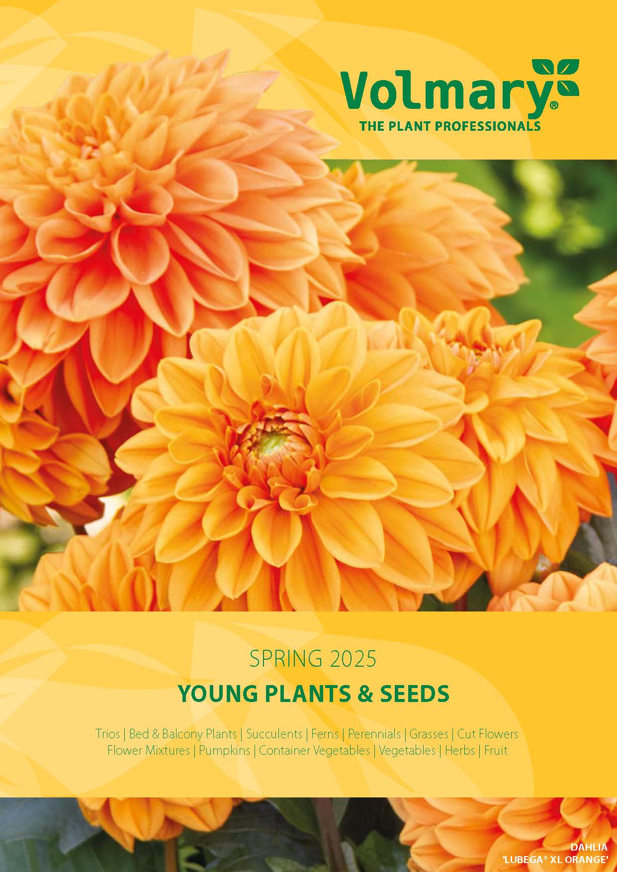 Условия для оптовых клиентов | Агрофирма «Виола»