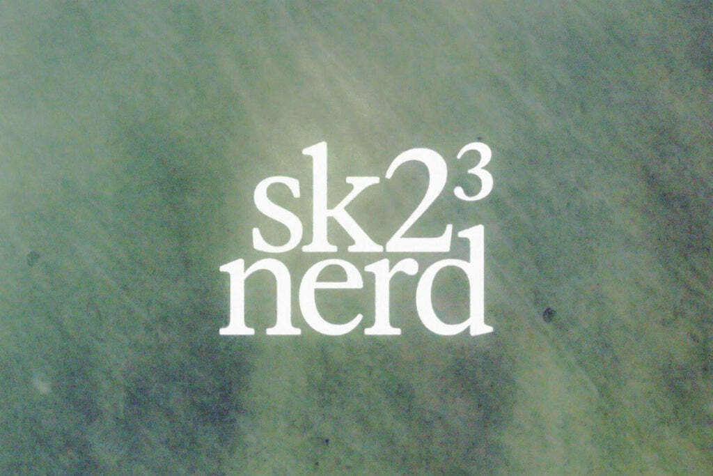 Skate Nerd №2