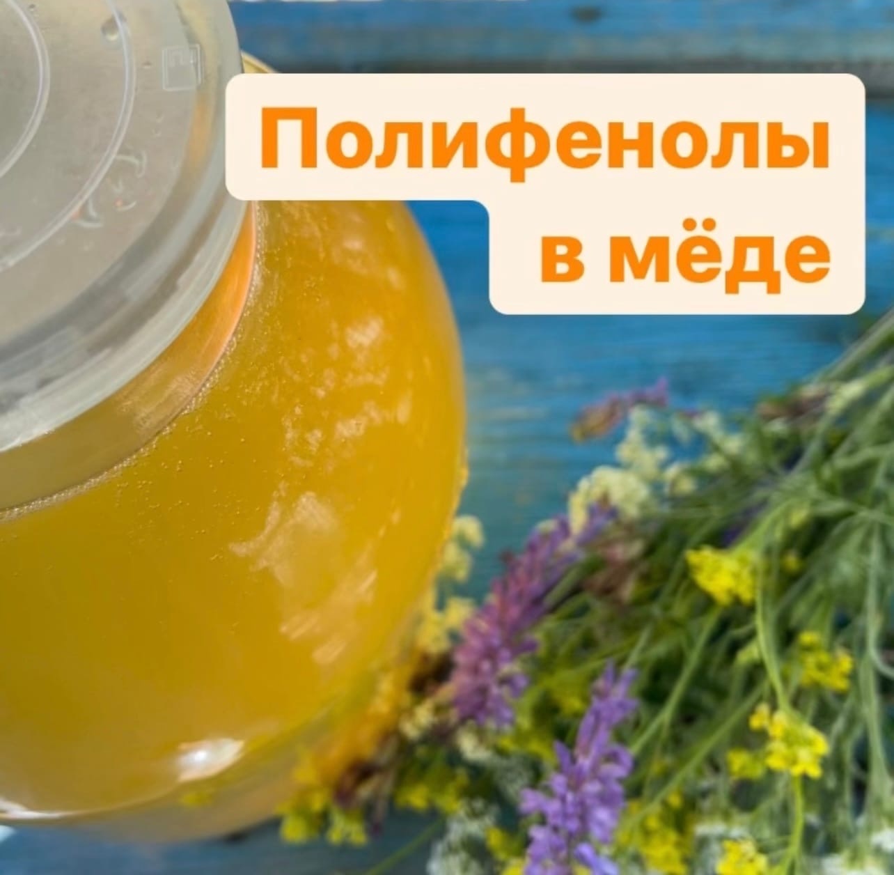 ПОЛИФЕНОЛЫ В МЁДЕ