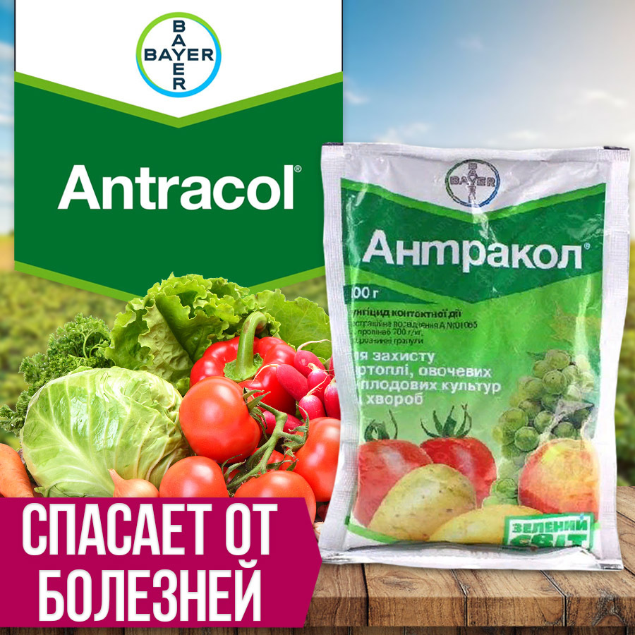 АНТРАКОЛ