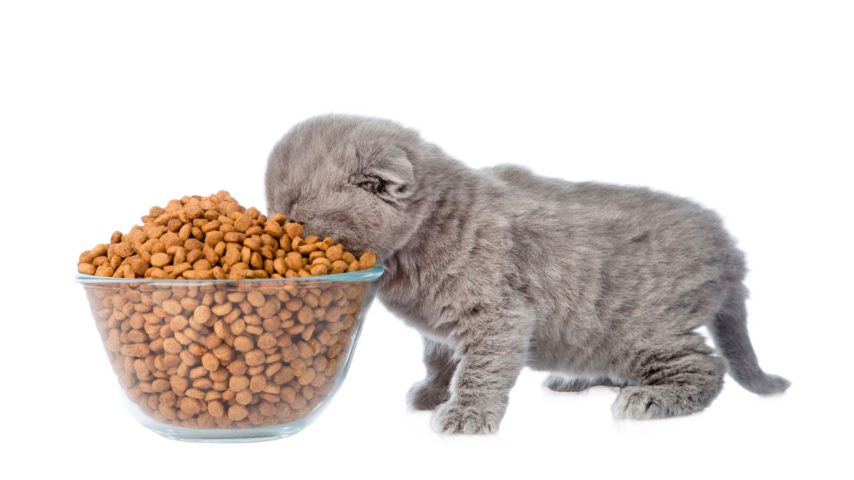 Сухие, диетические корма для кошек