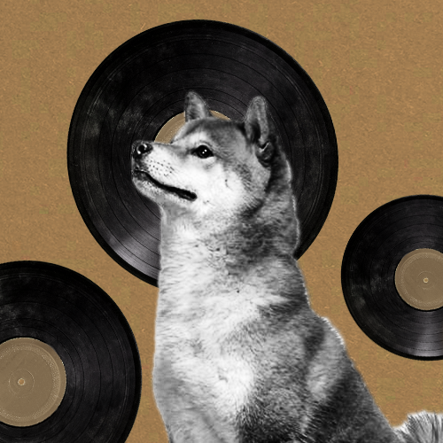 Наши релизы | DISCO DOGE