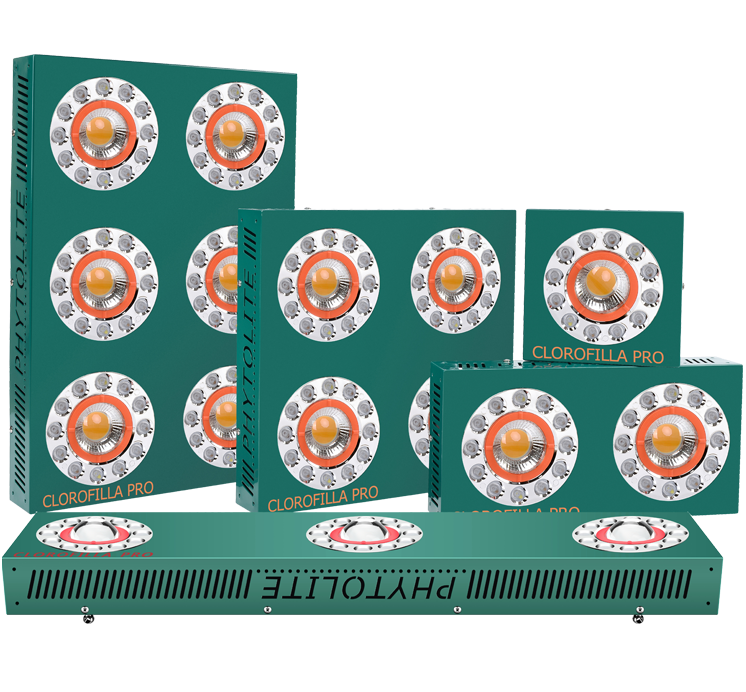 CLOROFILLA PRO – купить в интернет-магазине по лучшей цене