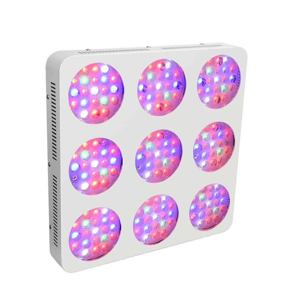 Apollo Lite – купить в интернет-магазине по лучшей цене