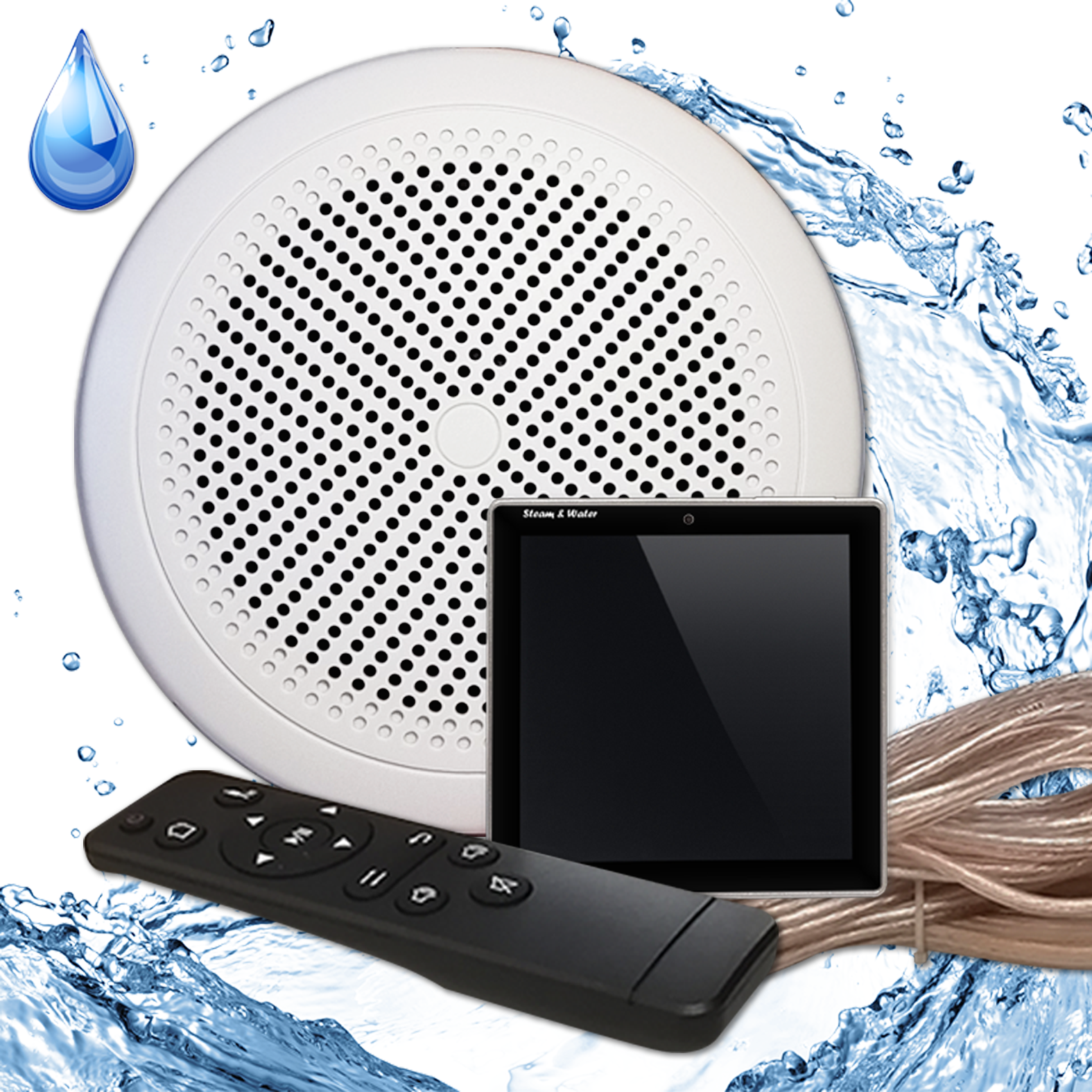 SENSOR - CH525 | Steam & Water