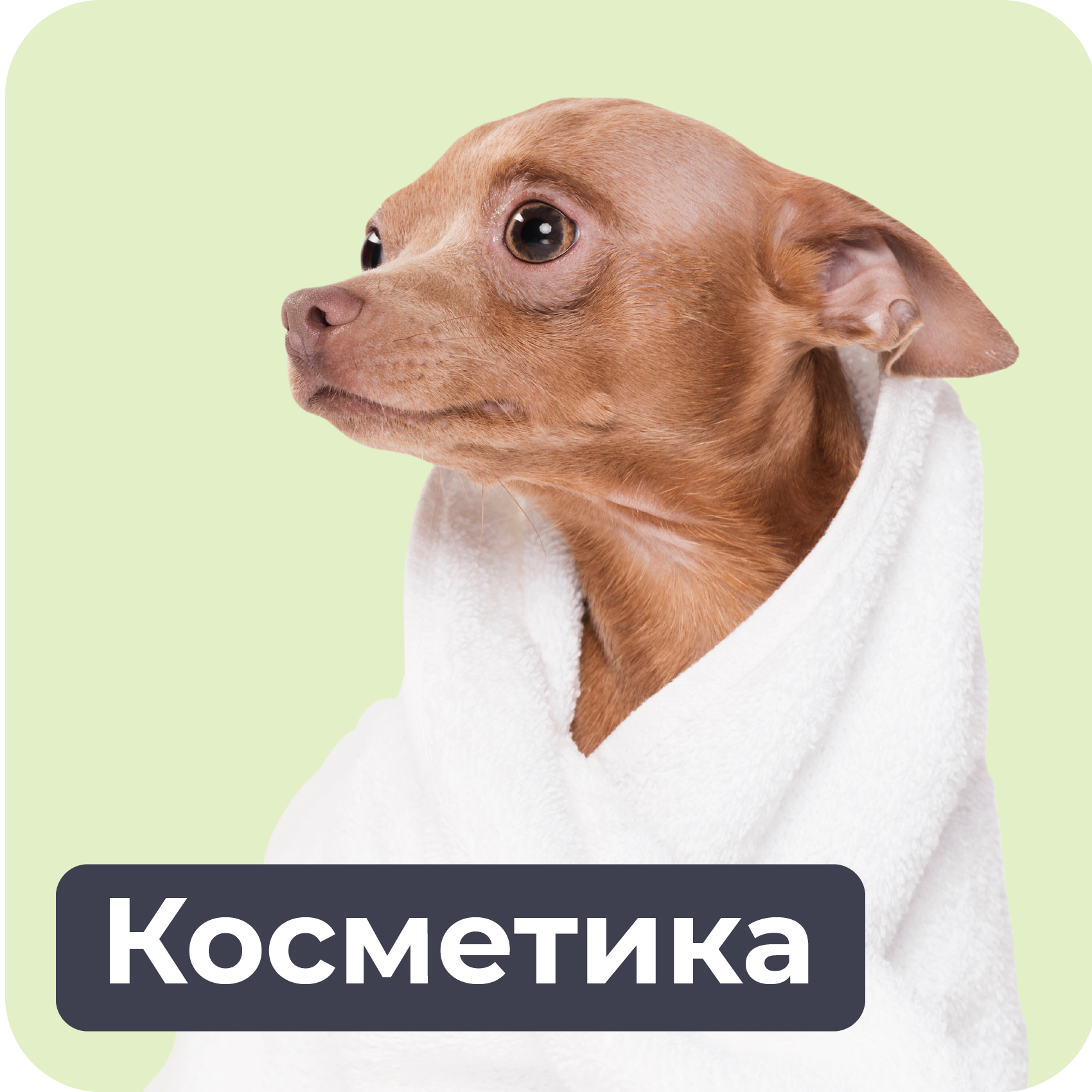 Косметика для собак и кошек | Vyshehvost.ru