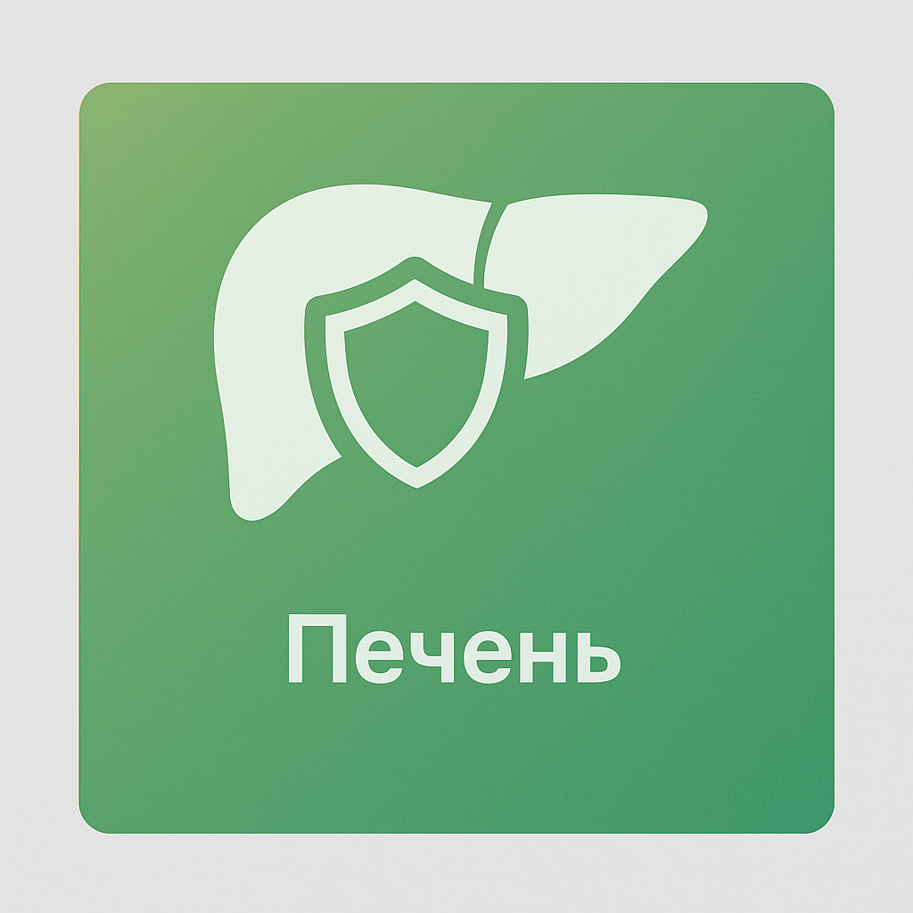 Печень | Ecoherbs.org