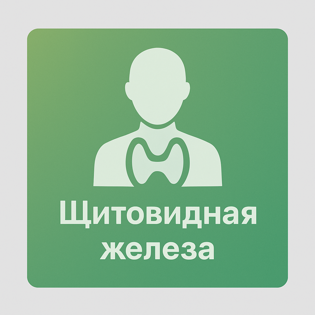 Щитовидная железа | Ecoherbs.org