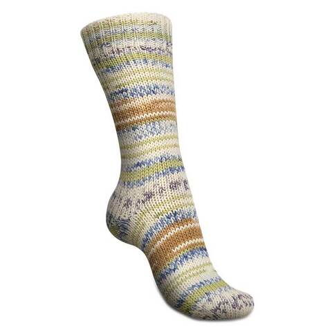 Regia Nordic Winter Color 8-ply купить - www.knit-socks.ru