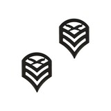Значок US Army Badge of rank USMC - SSgt. - BLACK