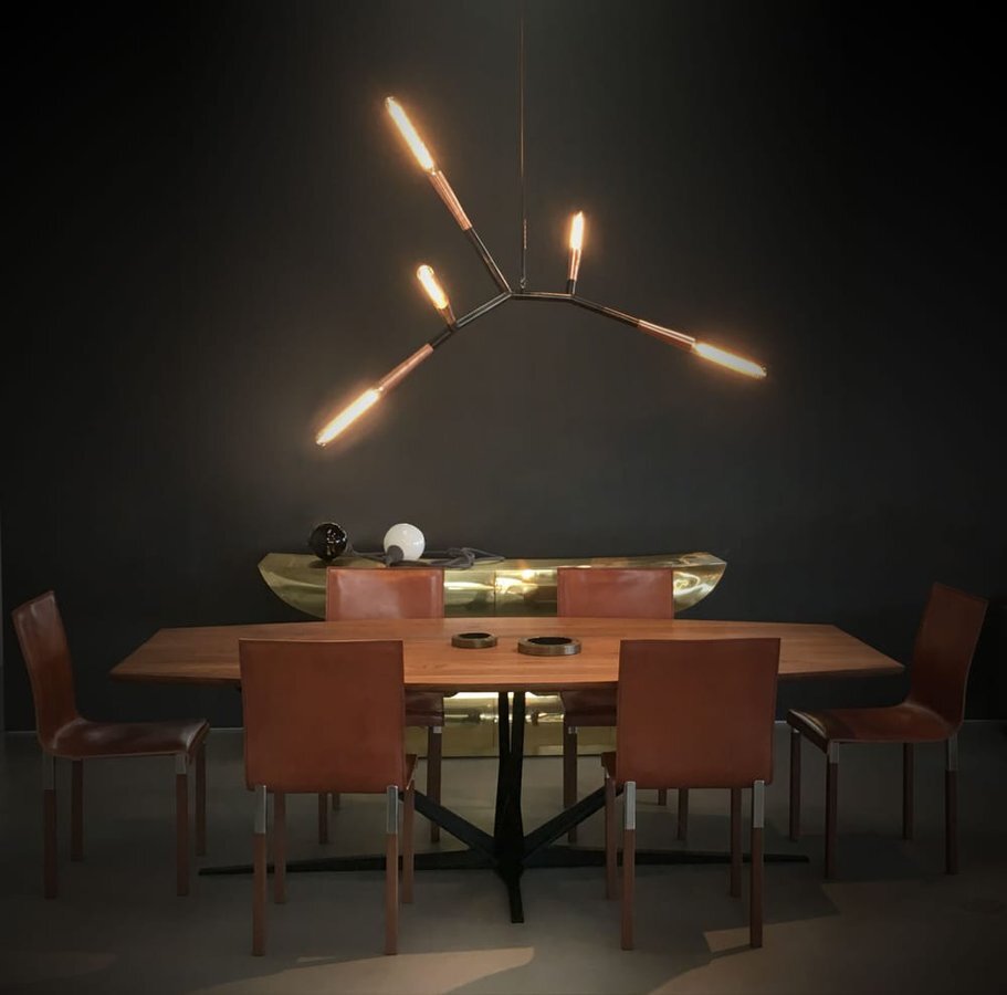 PHASMIDA by Christopher Boots