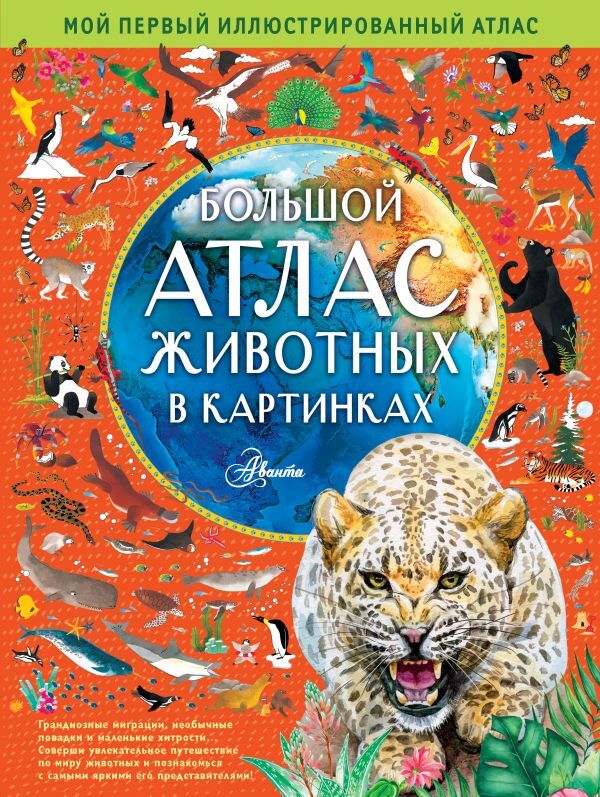 «Большой атлас животных в картинках» за 450 ₽ – купить за 450 ₽ в ...