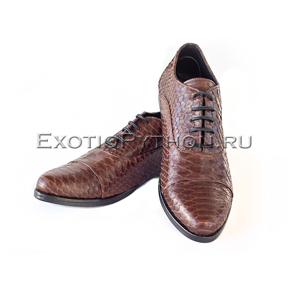 Мужские туфли из кожи питона SH-133 - EXOTIQ PYTHON