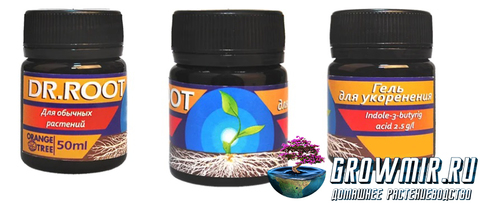 DOCTOR ROOT от ORANGE TREE для клонирования