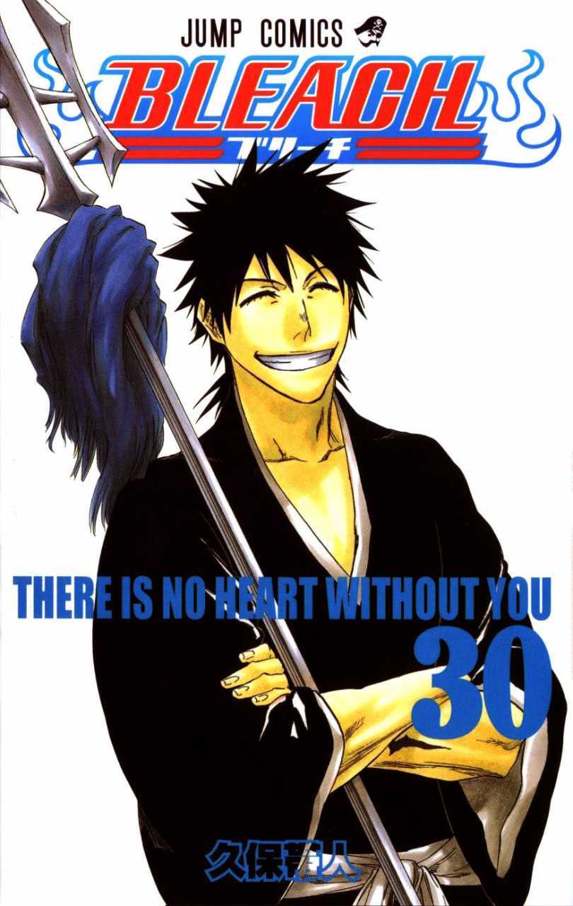 Bleach Vol 30 (на японском языке) – купить за 990 руб | Чук и Гик ...