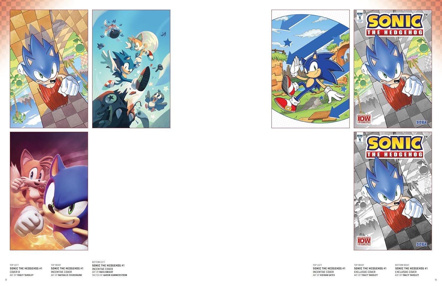 Sonic the Hedgehog: The IDW Comic Art Collection – купить за 2990 руб ...