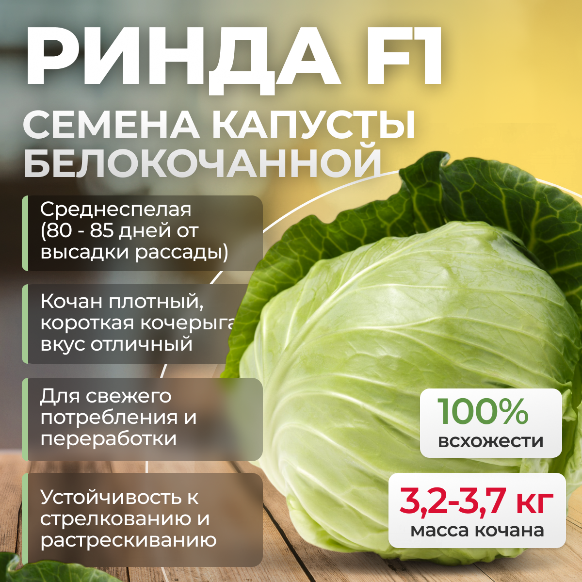 Ринда F1 семена капусты белокочанной (Seminis / ALEXAGRO) купить семена ...