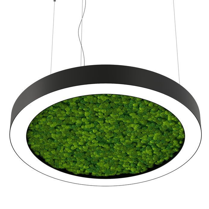 Светодиодный обьемный светильник Altavolta - Round Ring Green со мxом.
