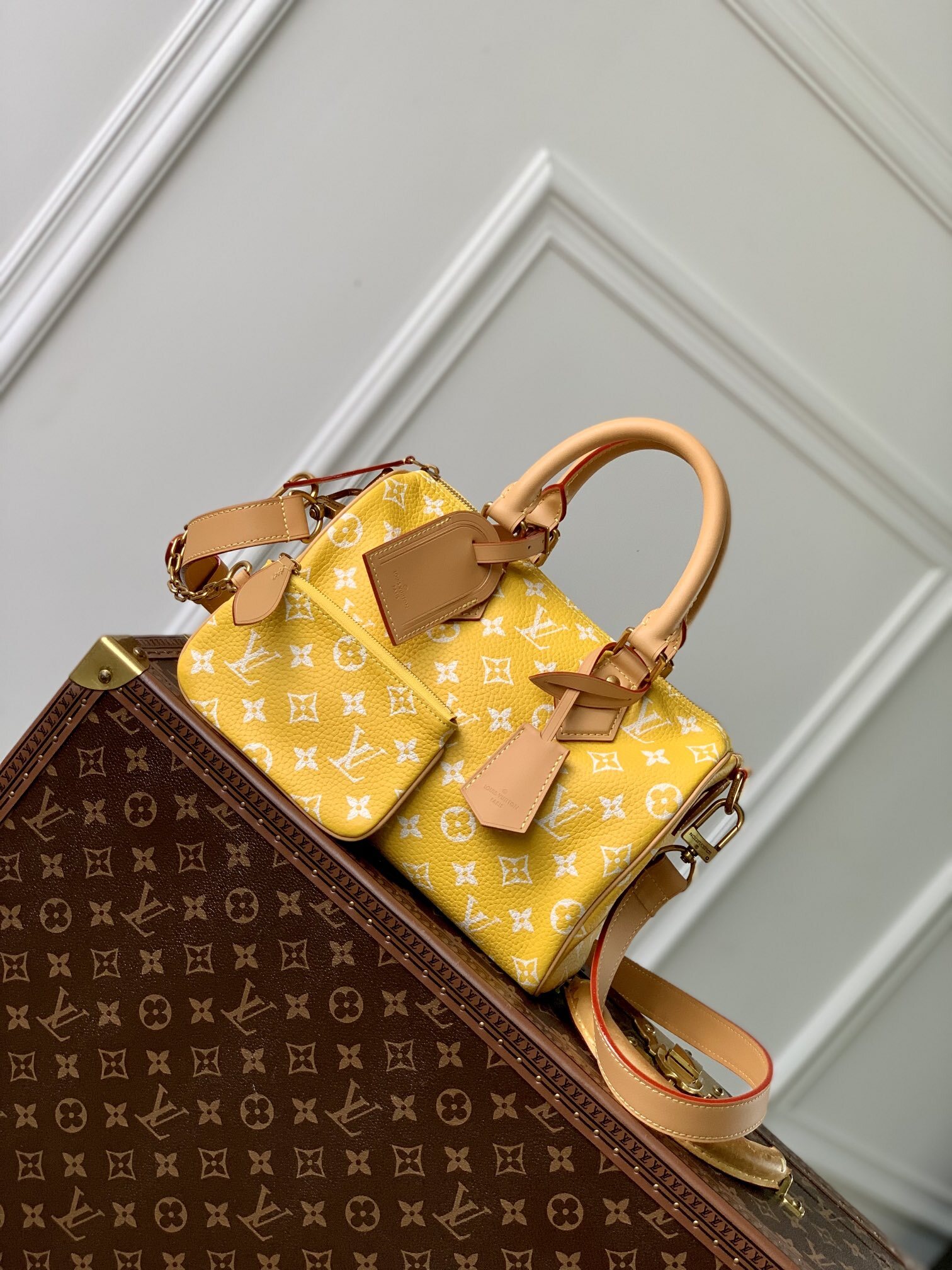 Louis Vuitton Speedy P9 Bandouliere 25 – Buy 165 $ | 4 Bag Lovers