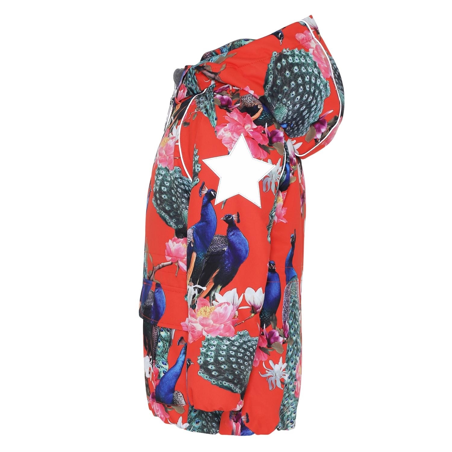 Купить Molo Cathy Peacock бесплатная доставка