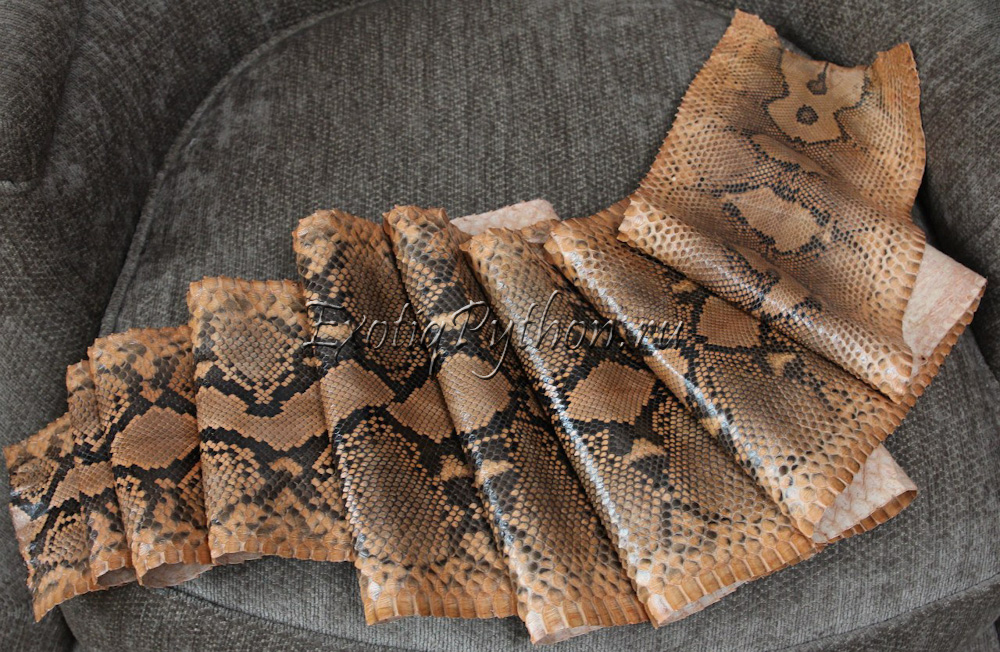 Кожа питона SK-5 >> Exotiq Python