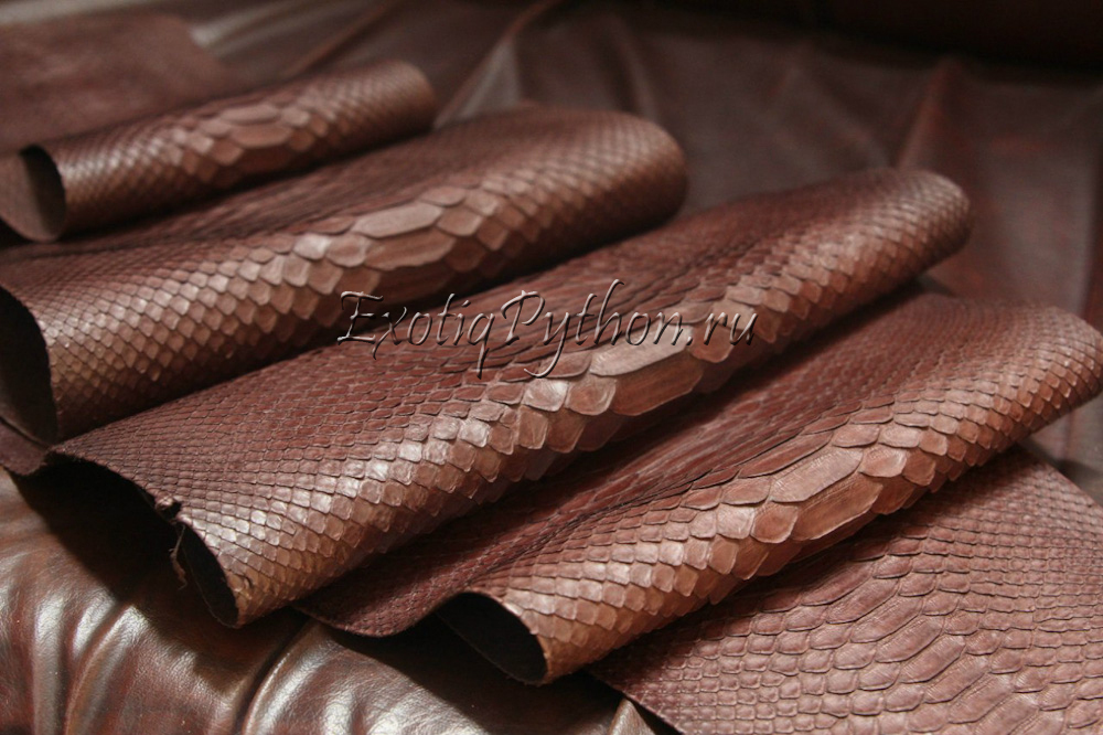 Кожа питона SK-7 >> Exotiq Python