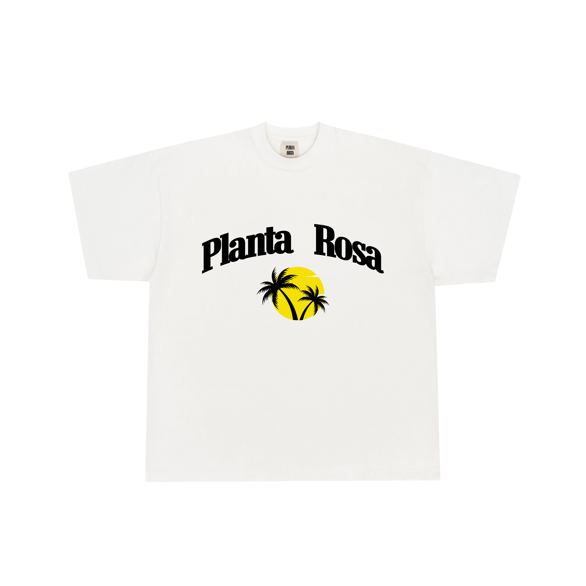 Planta Rosa