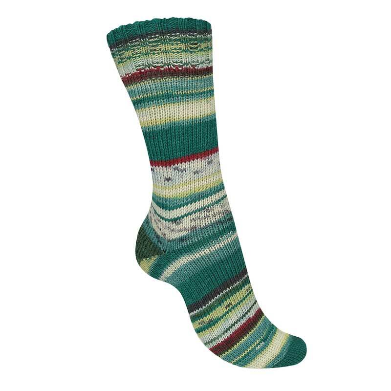 Regia Irish Fantasy Color купить :: www.knit-socks.ru