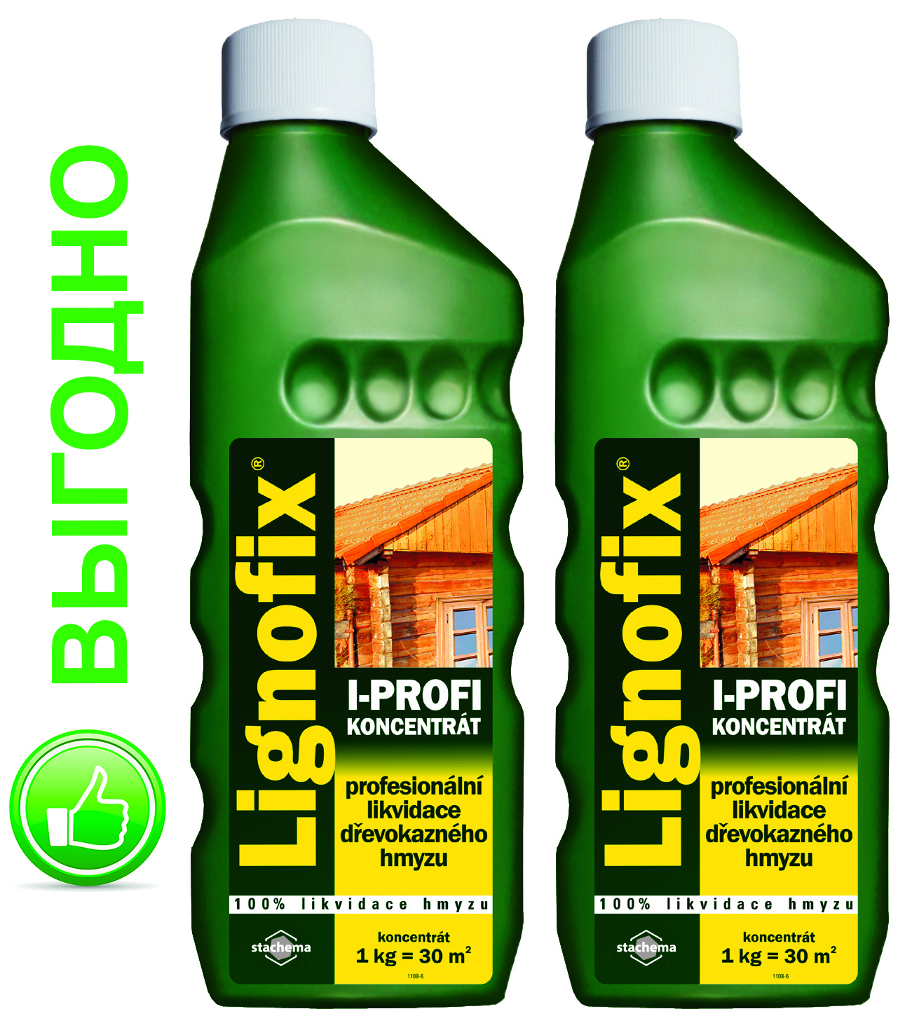 Борьба с древоточцем - Lignofix I-Profi - Чехия