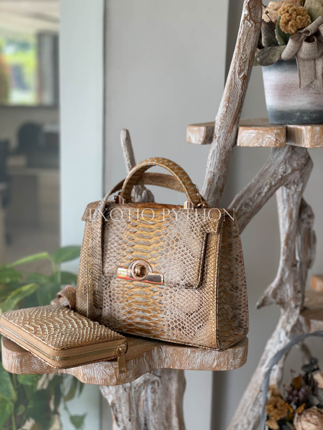 Сумка из кожи питона BG-464 - «EXOTIQ PYTHON»