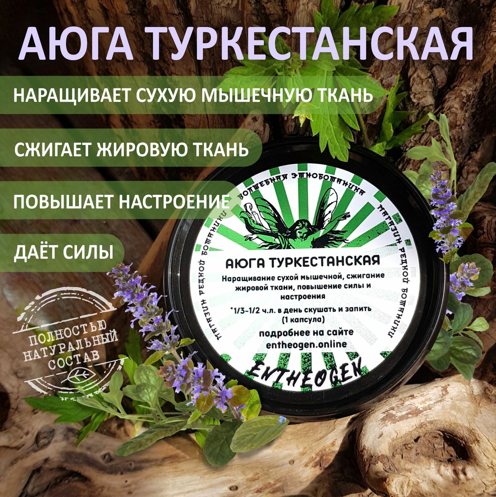 Аюга Туркестанская (Ajuga Turkestanica, Живучка), экстракт