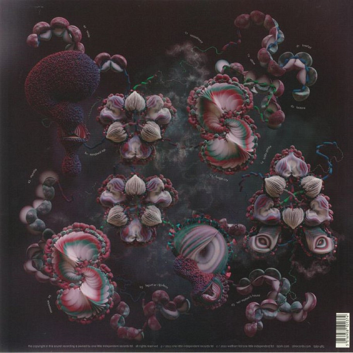 Виниловая пластинка Bjork — Fossora (Limited Burgundy Vinyl) (2 LP ...