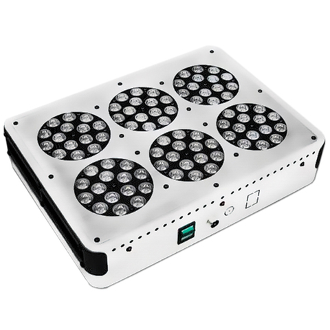 Лампы LED (Освещение, Оборудование) - купить с доставкой по Москве, СПб ...