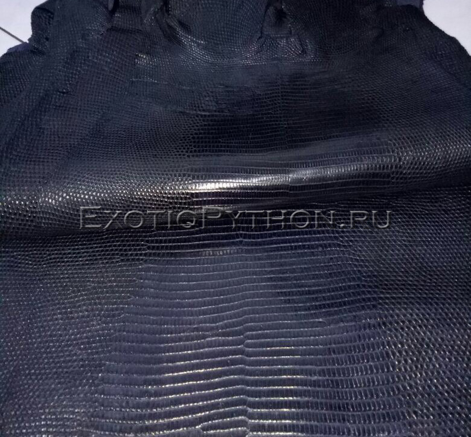 Кожа ящерицы SK-23 - EXOTIQ PYTHON
