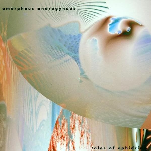 Виниловая пластинка Tales Of Ephidrina — Amorphous Androgynous купить в ...