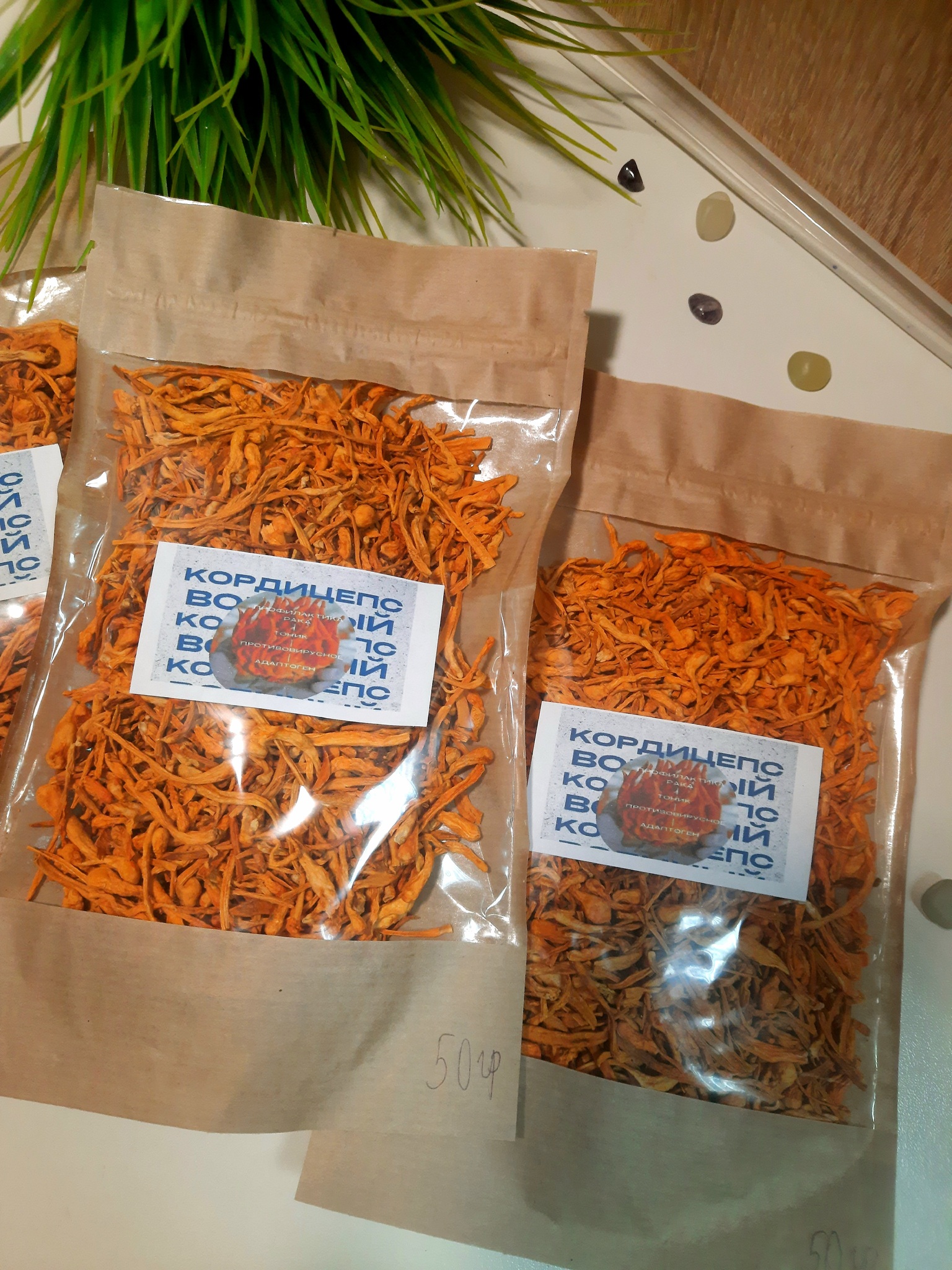Грибы для тела - Кордицепс (Cordyceps Militaris) Сушеный гриб 50г ...