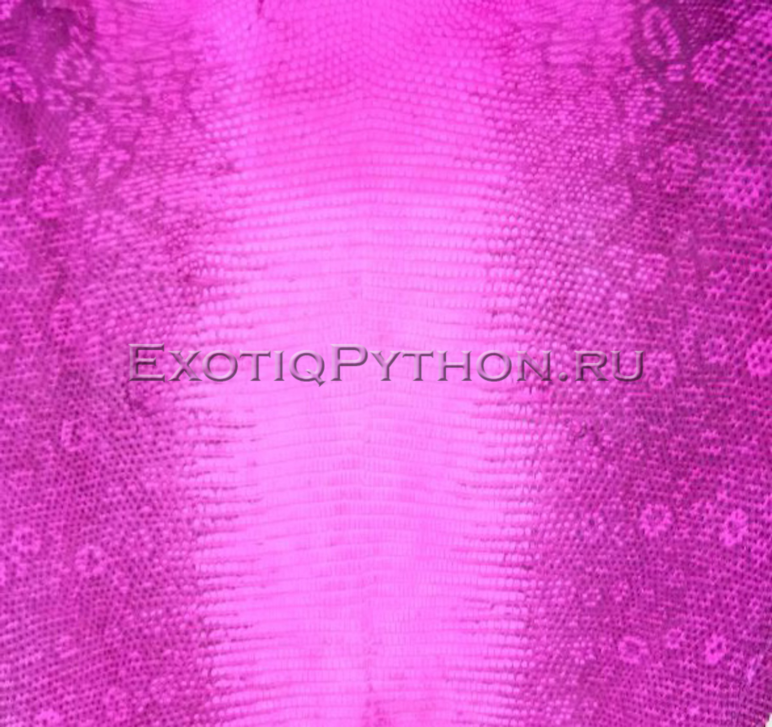 Кожа ящерицы SK-30 - EXOTIQ PYTHON