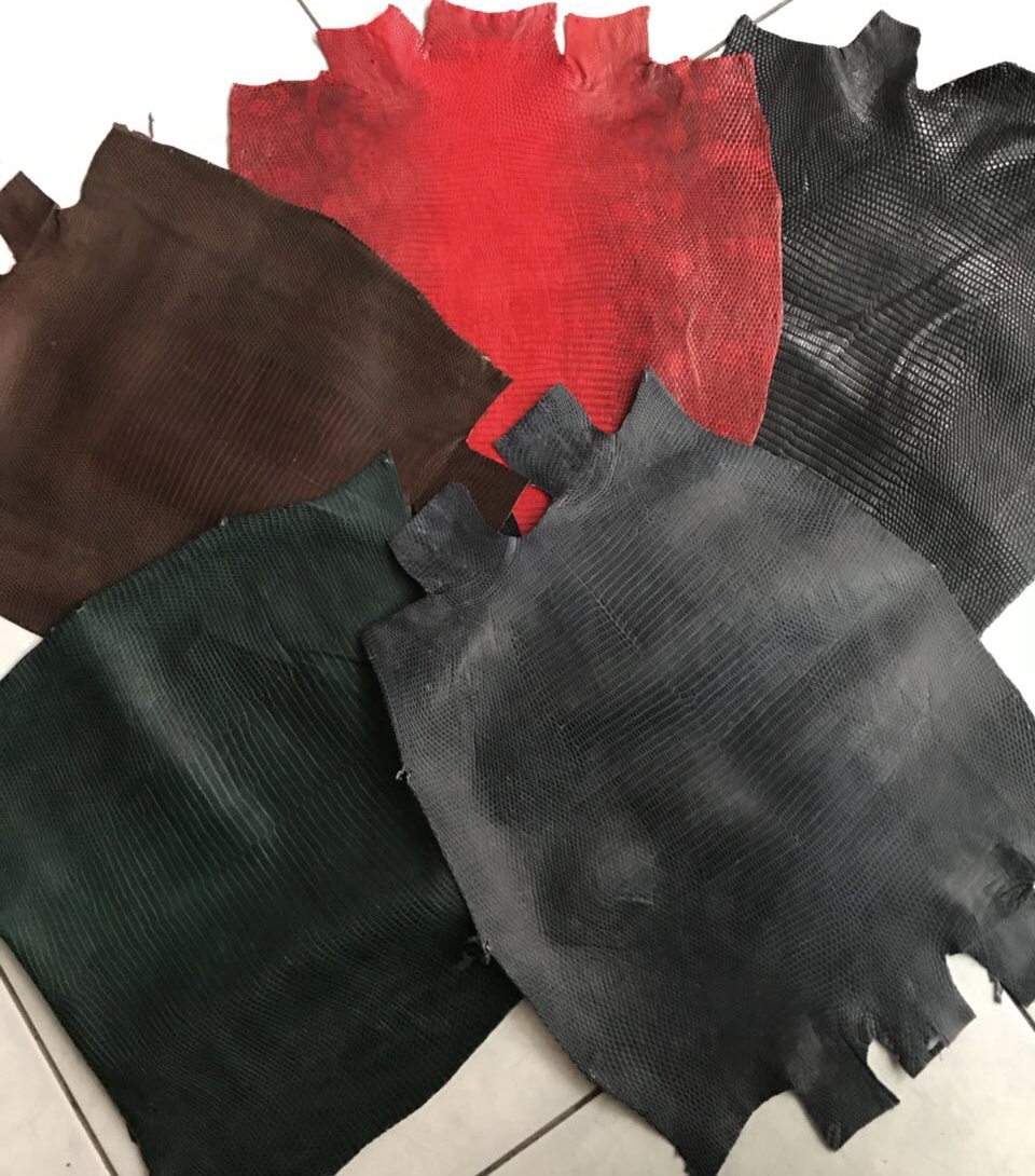 Кожа ящерицы SK-32 - EXOTIQ PYTHON