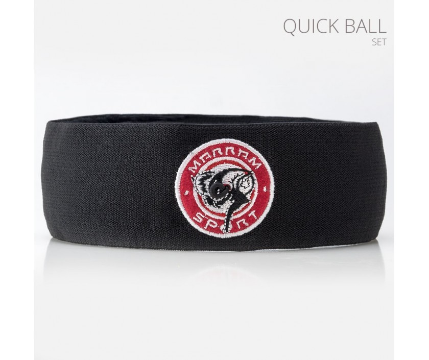 Купить спортивный тренажер Quick Ball-SET