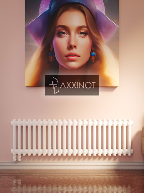 Axxinot Sentir 2037 - двухтрубный трубчатый радиатор высотой 370 мм ...
