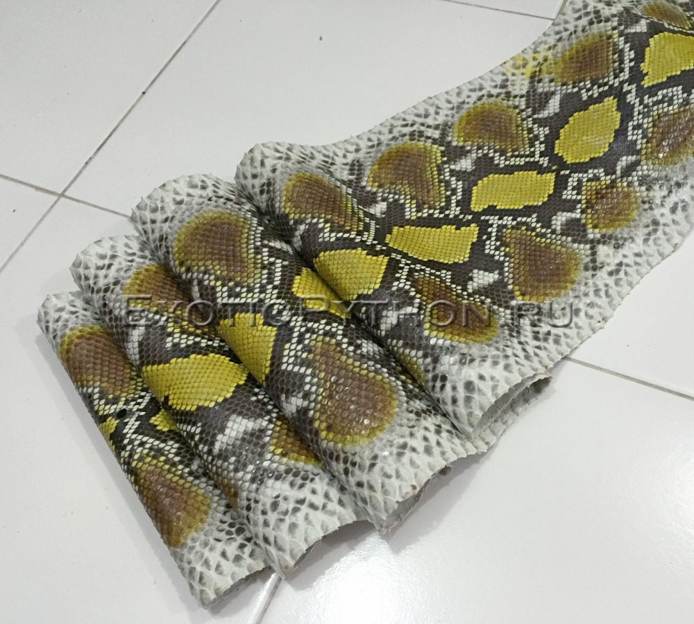 Кожа питона SK-9 >> Exotiq Python
