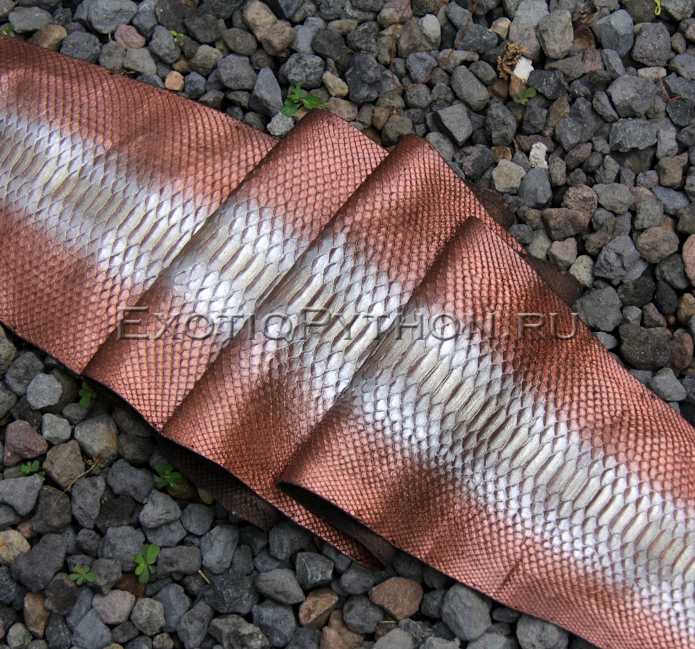 Кожа питона SK-17 >> Exotiq Python