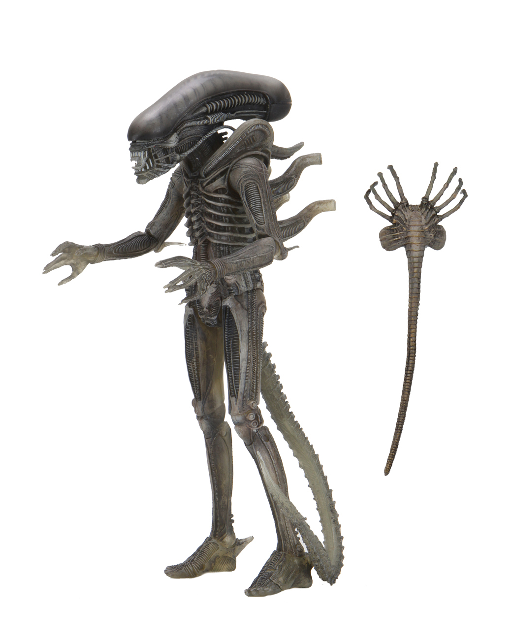 Alien Neca