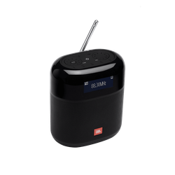 Портативная колонка JBL Tuner XL FM - купить на официальном сайте JBL