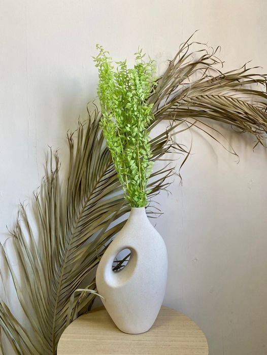 Экзотические сухоцветы – купить в магазине | Dried Flowers Moscow
