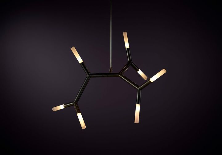 PHASMIDA by Christopher Boots