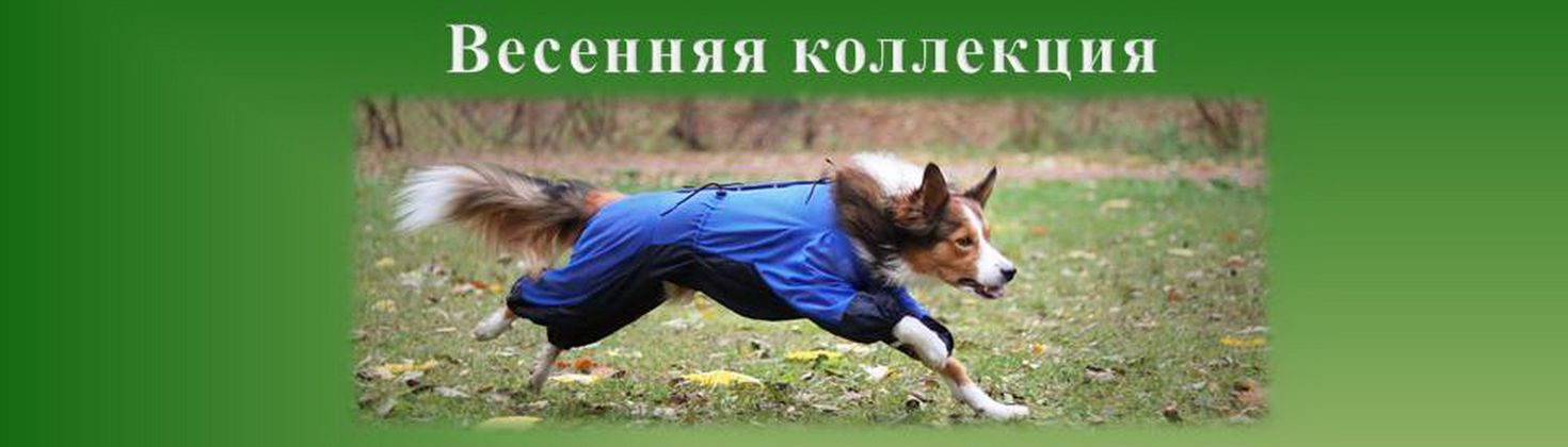 Купить одежду для собак мелких пород, средних пород, крупных пород с ...